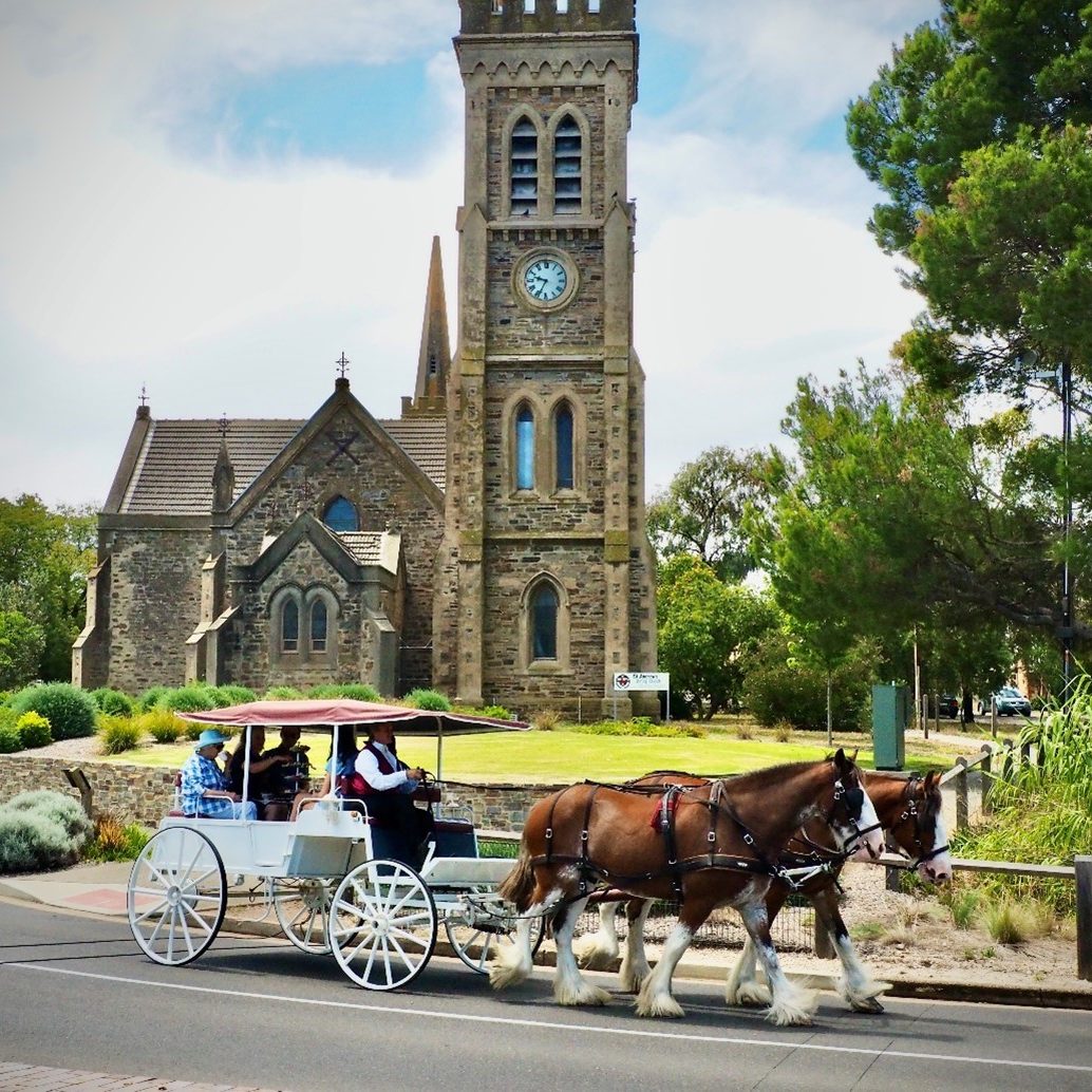 Carriage of Occasion: Elevating Experiences with Horse-Drawn Carriages ...
